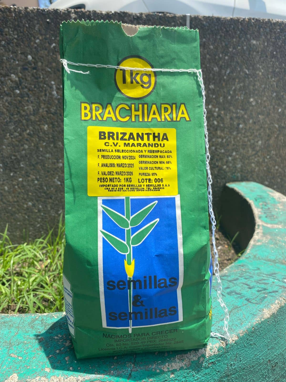 Bachiaria Brizantha Marandu | Croper