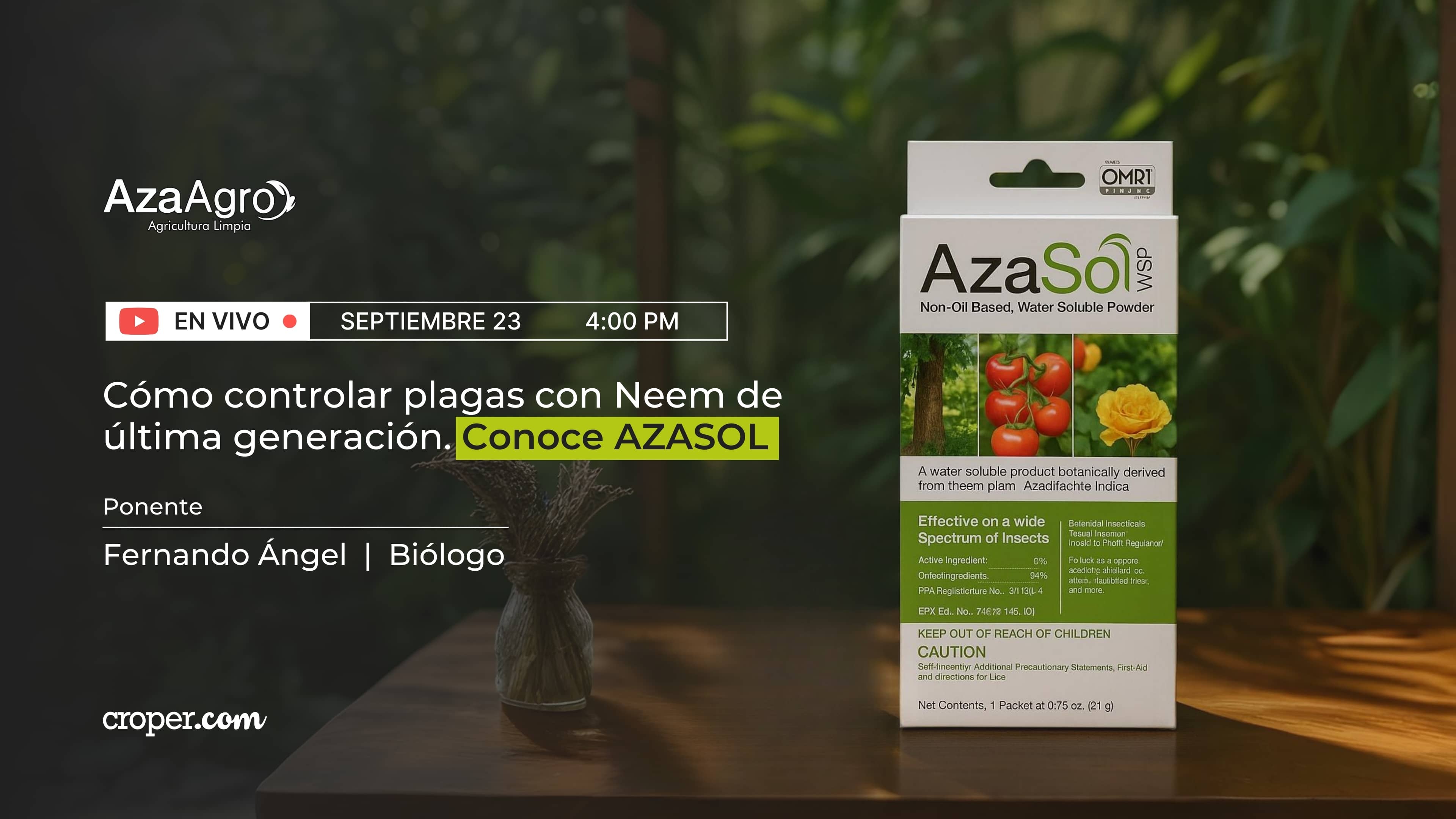 Precios Agropecuarios Actualizados | Consulta de Frutas, Café y Ganado ...