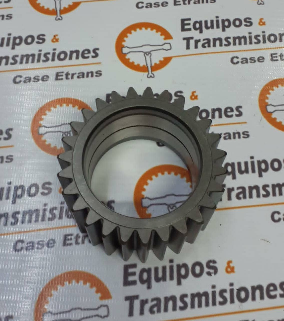 Piñón - 728.06.029.01 | Croper