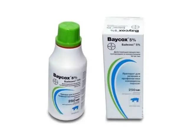 Baycox 5% suspensión oral | Control de coccidiosis en cerdos | Croper