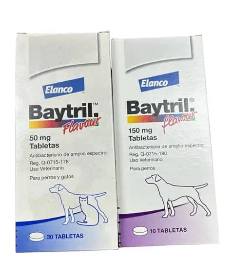 Baytril Flavour 50 mg – Antibiótico oral para mascotas | Croper