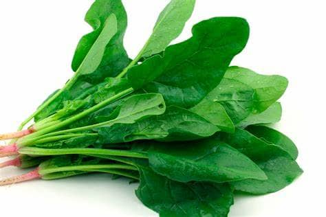 Precio y detalles de la espinaca en Colombia - Actualizado | Croper